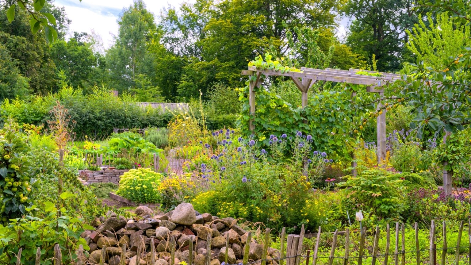 How To Grow A Food Forest