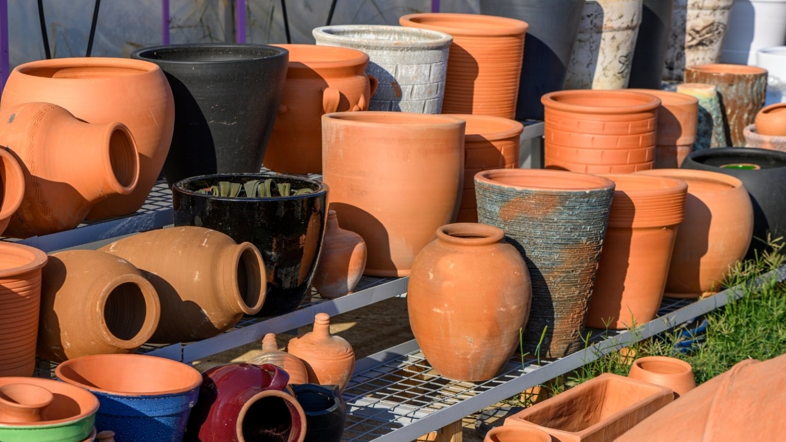 How and Why to Use an Olla to Water Your Garden