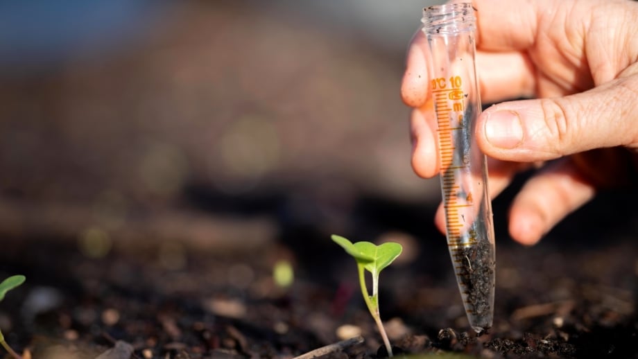 11 Tips for Fertilizing Your Garden this Spring