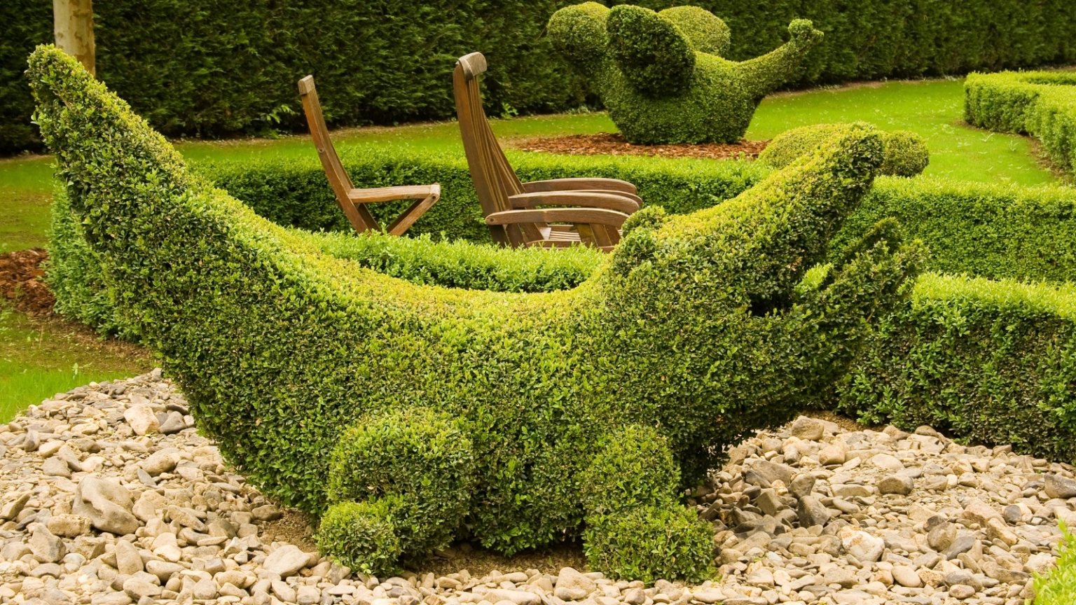 How to Make a Topiary in your Garden