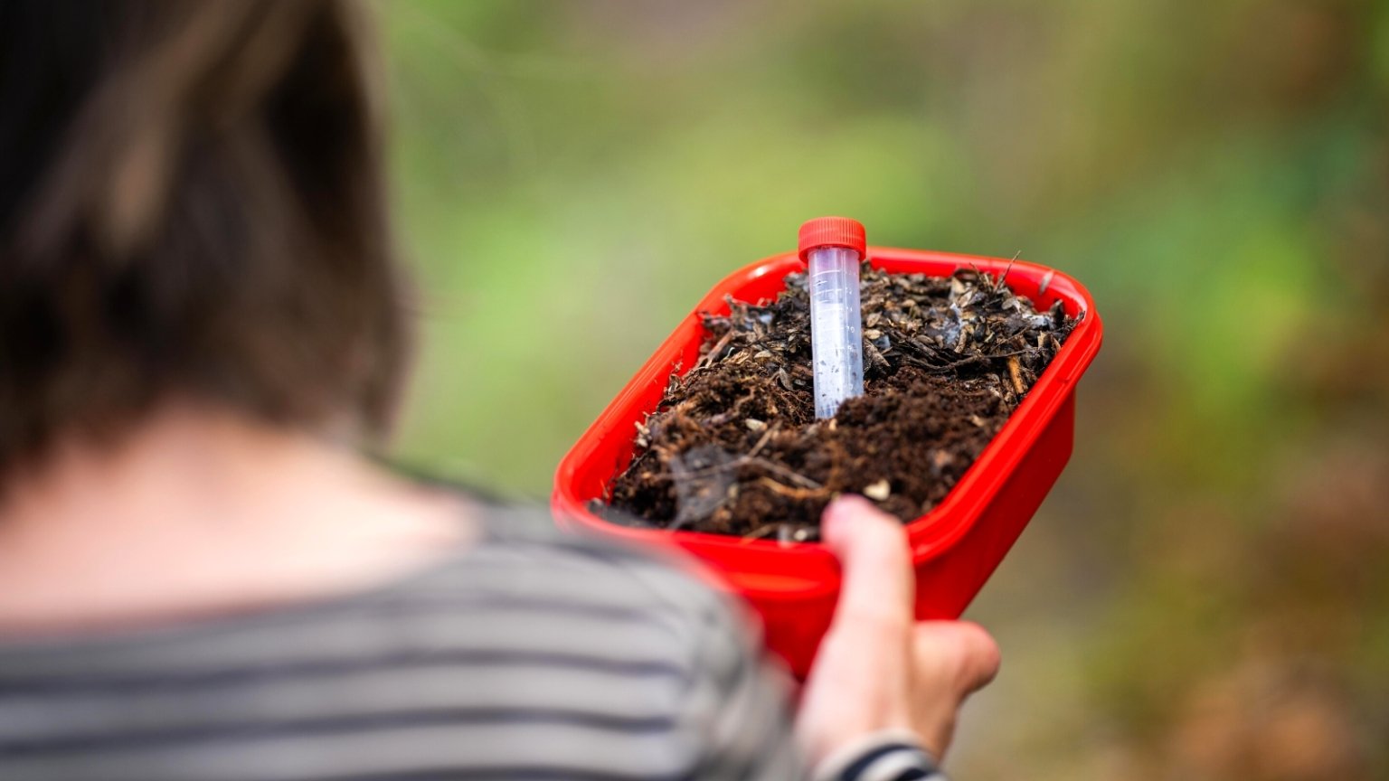 How To Lower Soil pH Or Raise Soil pH