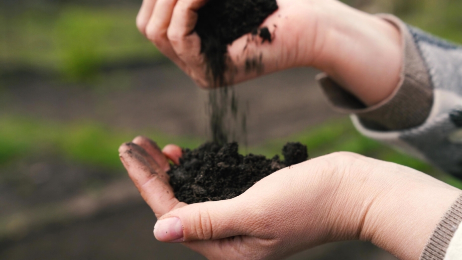 Slow-Release vs. Quick-Release Fertilizer: What's the Difference?