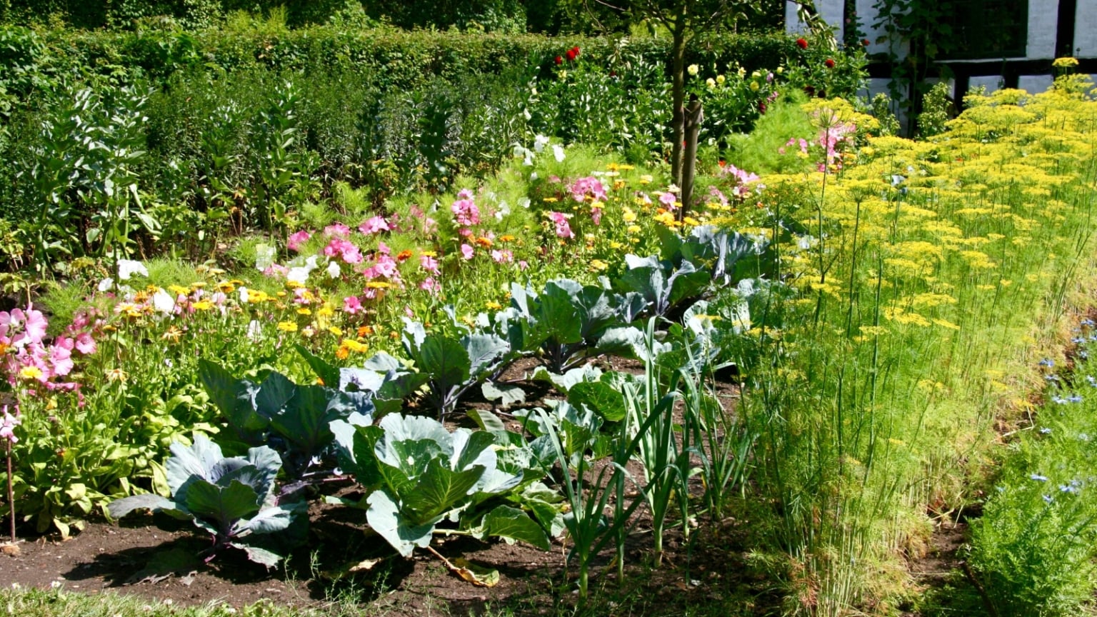 15 Benefits of Planting Flowers in Your Vegetable Garden