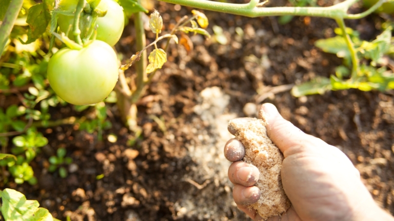 11 Tips for Fertilizing Your Garden this Spring