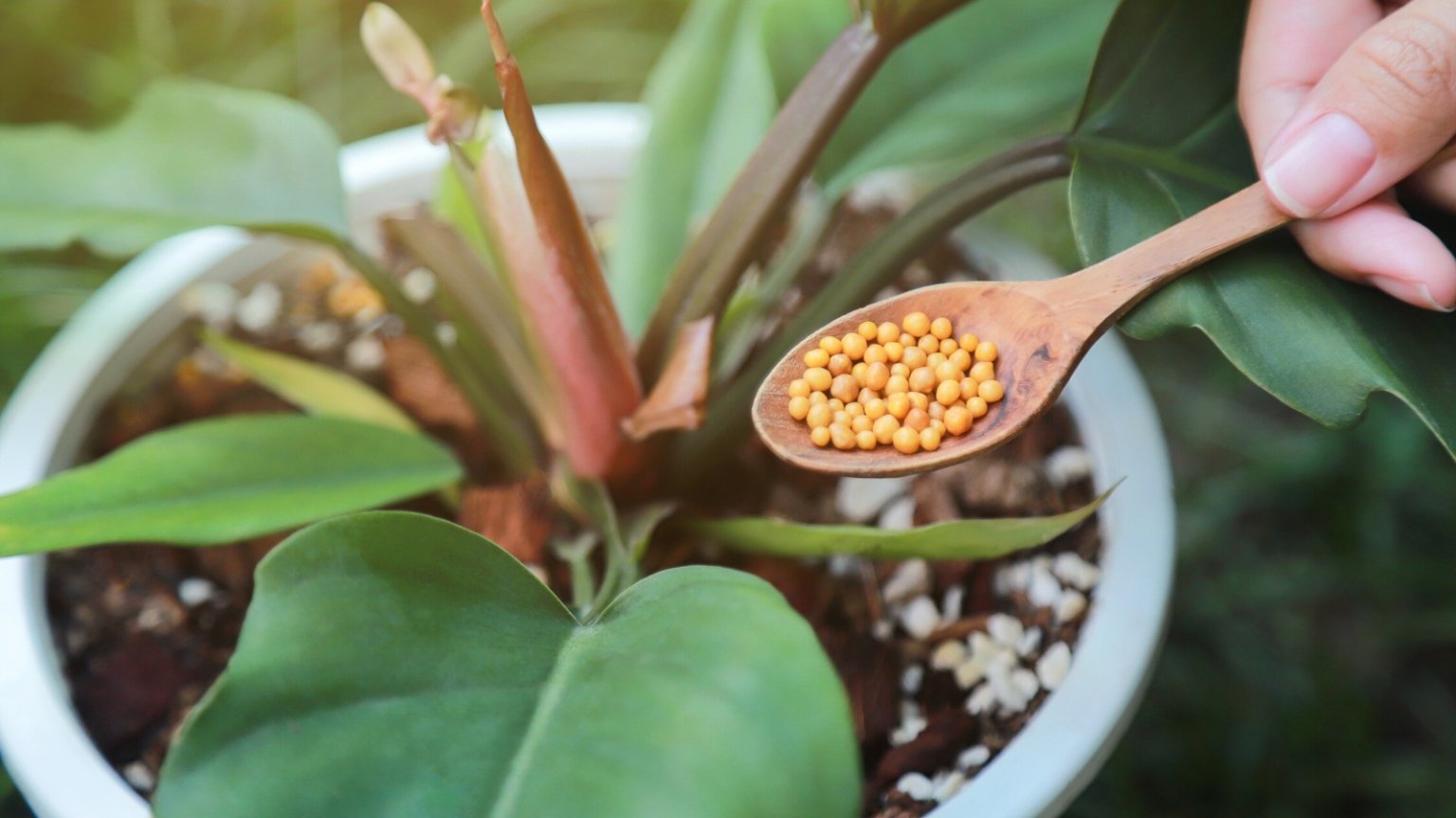 11 Tips for Fertilizing Your Garden this Spring