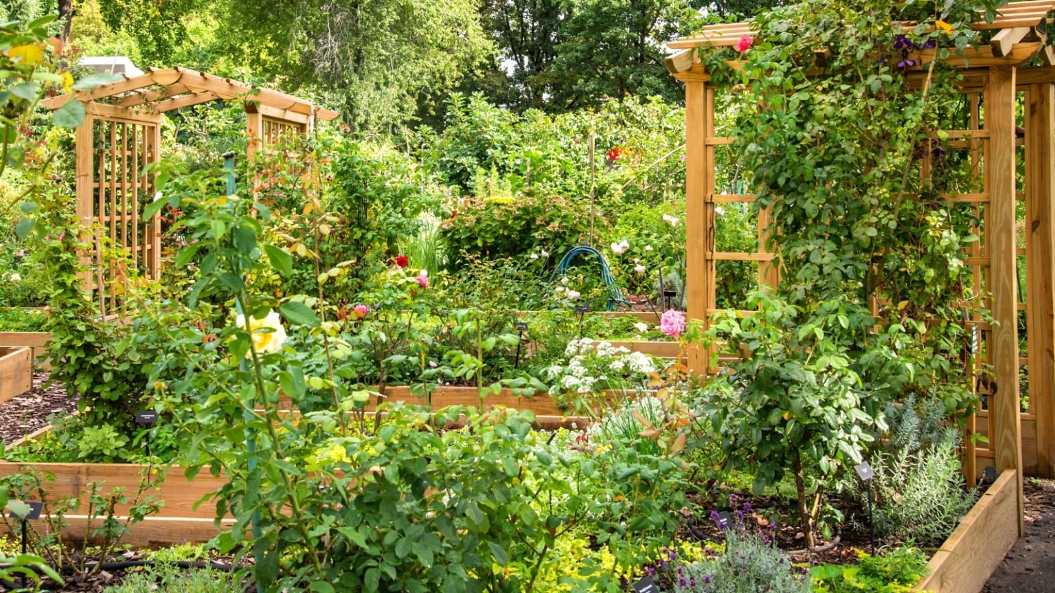 9 Tips for a Low-Maintenance Cottage Garden