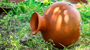 How and Why to Use an Olla to Water Your Garden