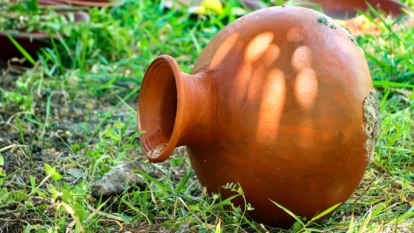 How and Why to Use an Olla to Water Your Garden