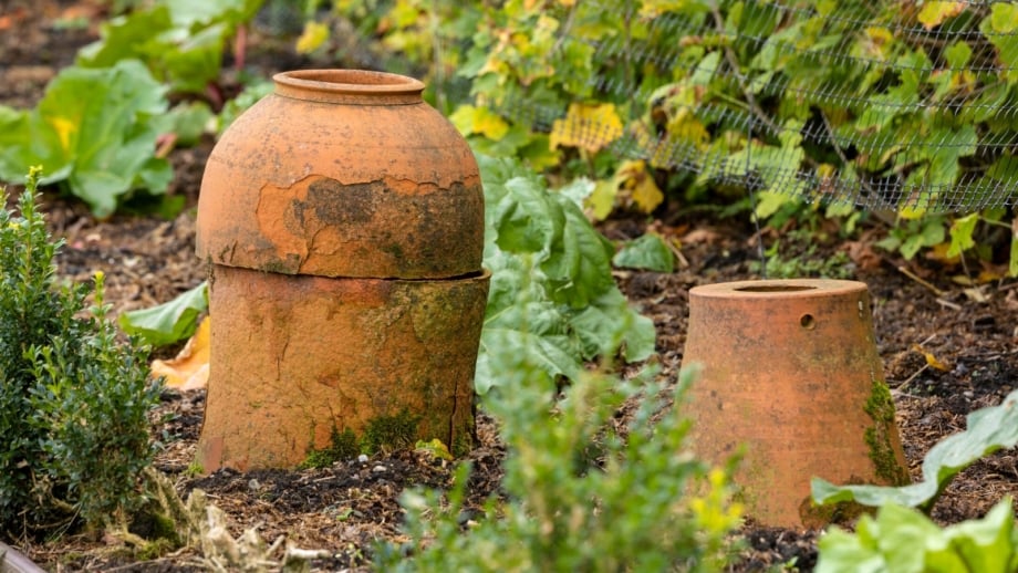 How and Why to Use an Olla to Water Your Garden