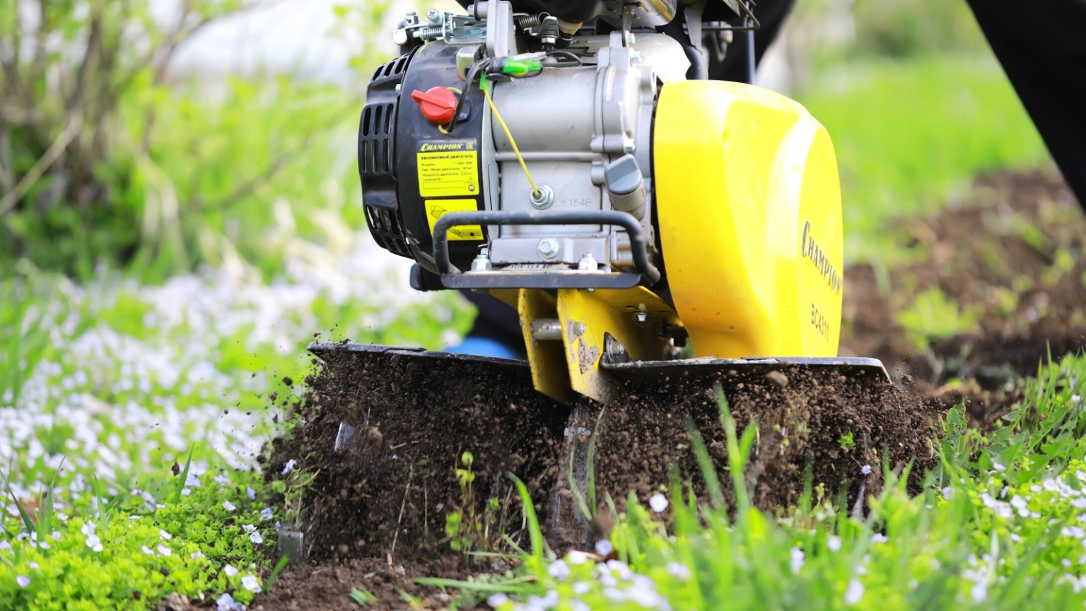 What is a Monoculture?