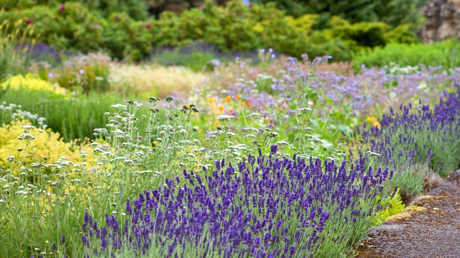 19 Beautiful Garden Styles for Your Outdoor Landscape