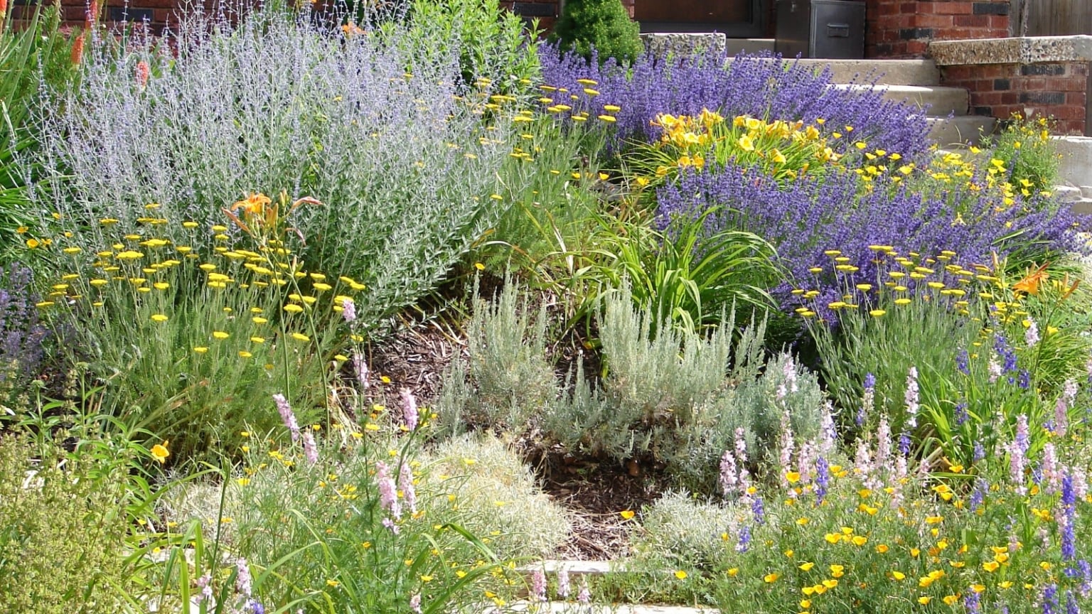 15 Beautiful Design Ideas for Xeriscape Gardens