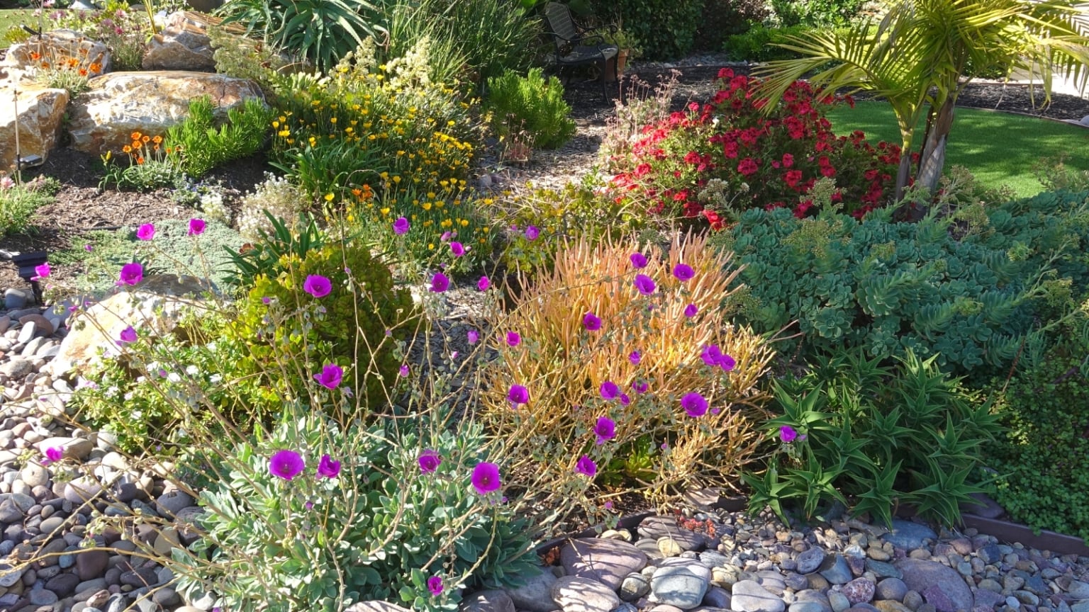 15 Beautiful Design Ideas for Xeriscape Gardens