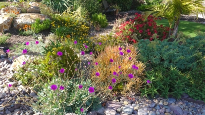 15 Beautiful Design Ideas for Xeriscape Gardens