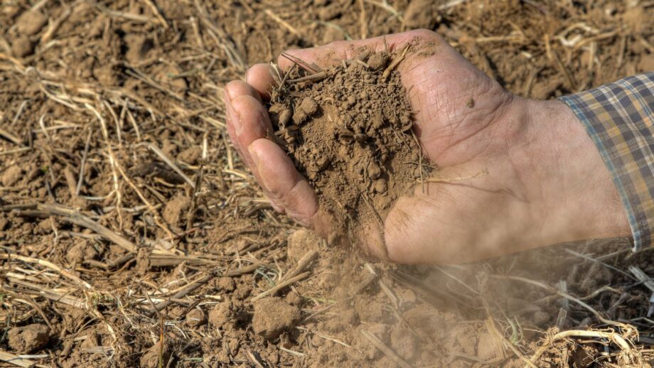 7 Steps to Improve Hard Soil, Fast