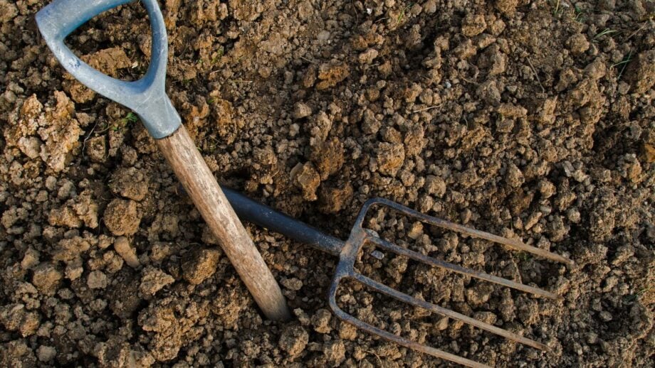 7 Steps to Improve Hard Soil, Fast