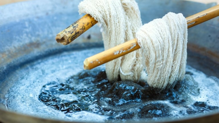 How to Plant, Grow, and Care for Indigo: The Plant World's Natural Blue Dye