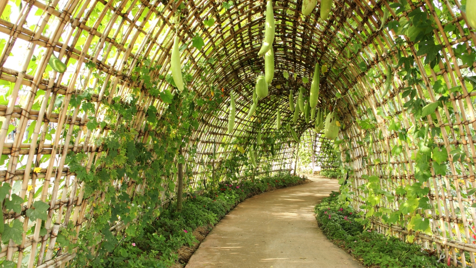 23 Creative Vegetable Garden Ideas
