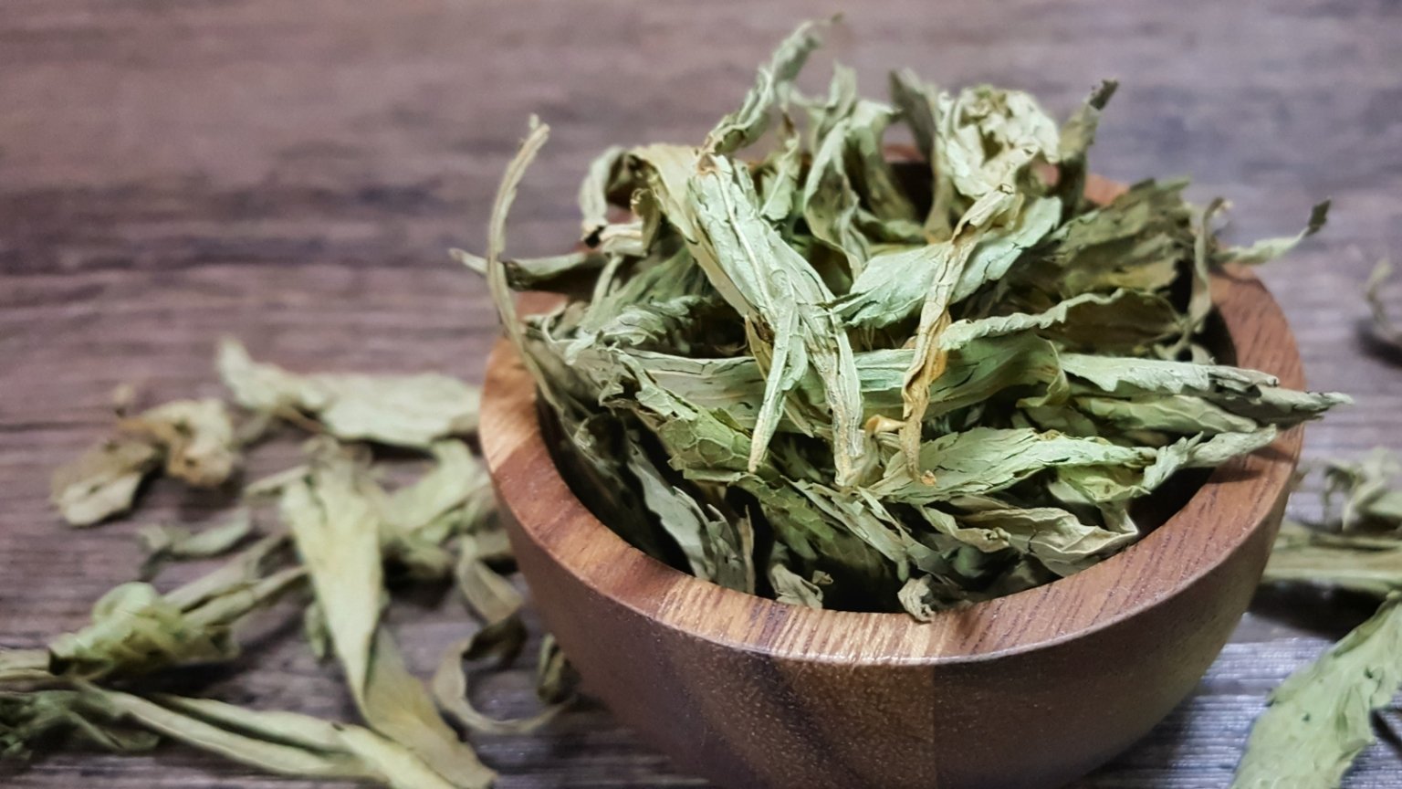 How to Plant, Grow, and Care for Stevia Plants