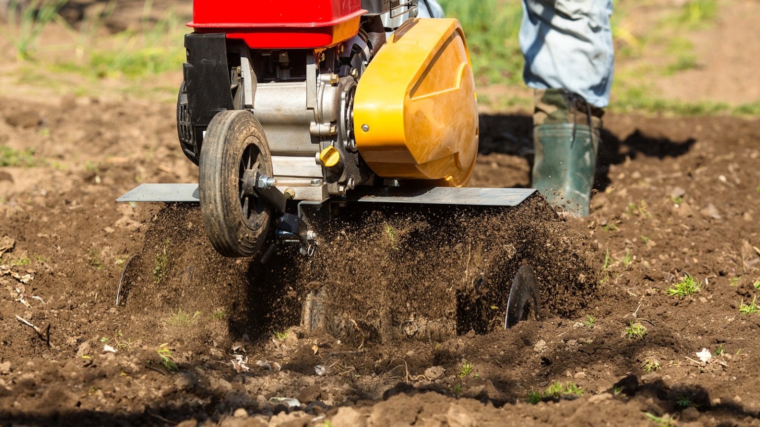 7 Different Weed Removal Methods For Your Garden