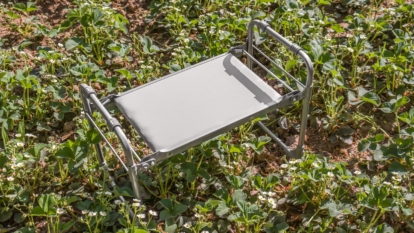 Adaptive Gardening: 25 Tips to Keep You Gardening As You Age