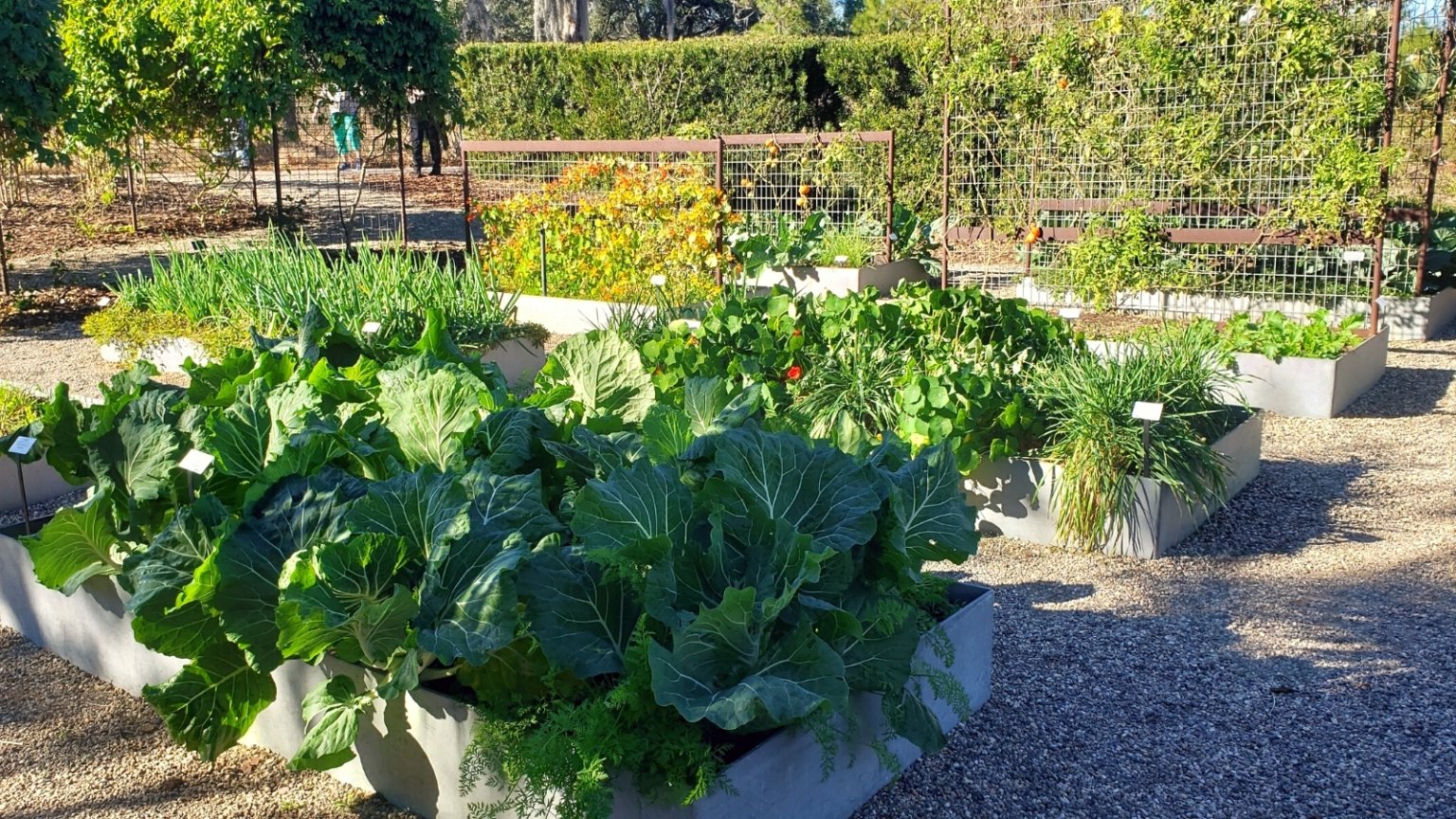 How to Design a Kitchen Garden: French Potager