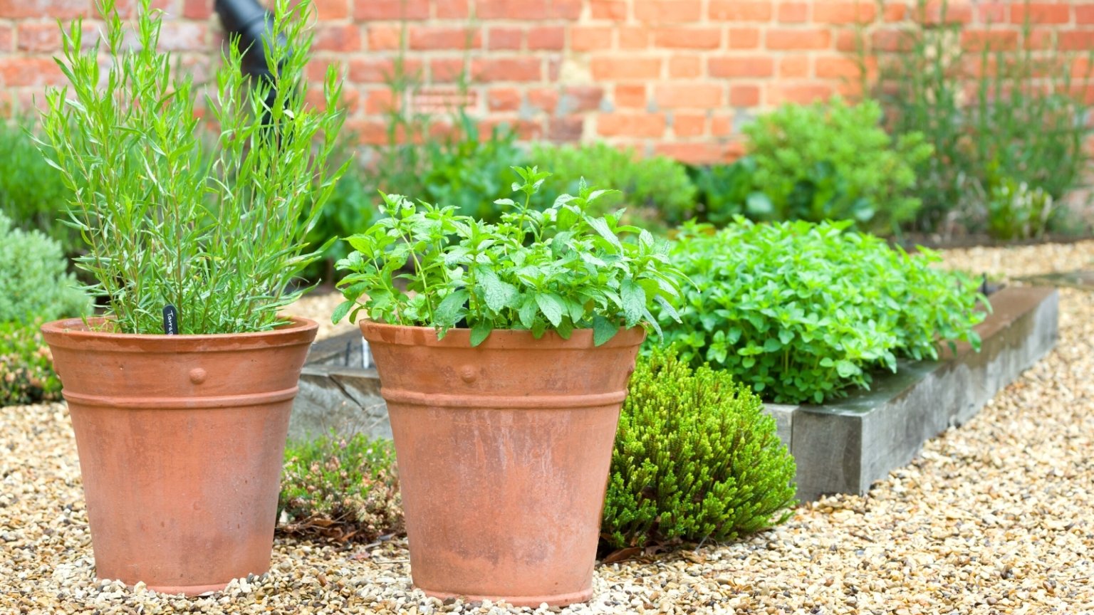How to Design a Kitchen Garden: French Potager