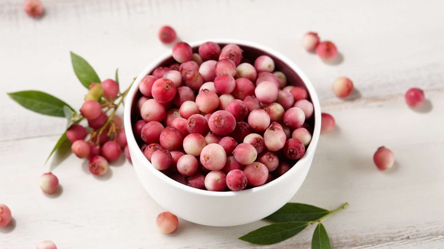 How to Plant, Grow, and Care for 'Pink Lemonade' Blueberries