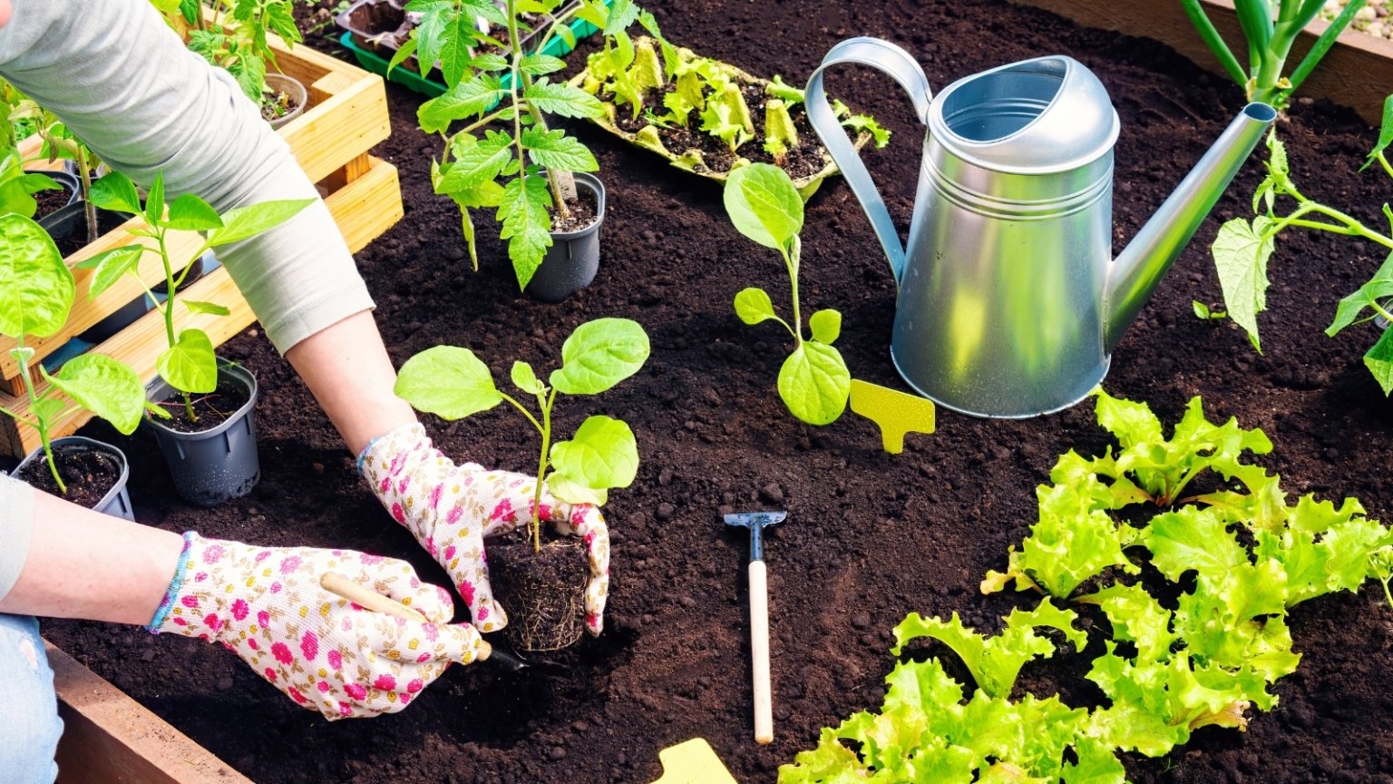 11 Gardening Tasks To Do in April For a Bountiful Spring Garden