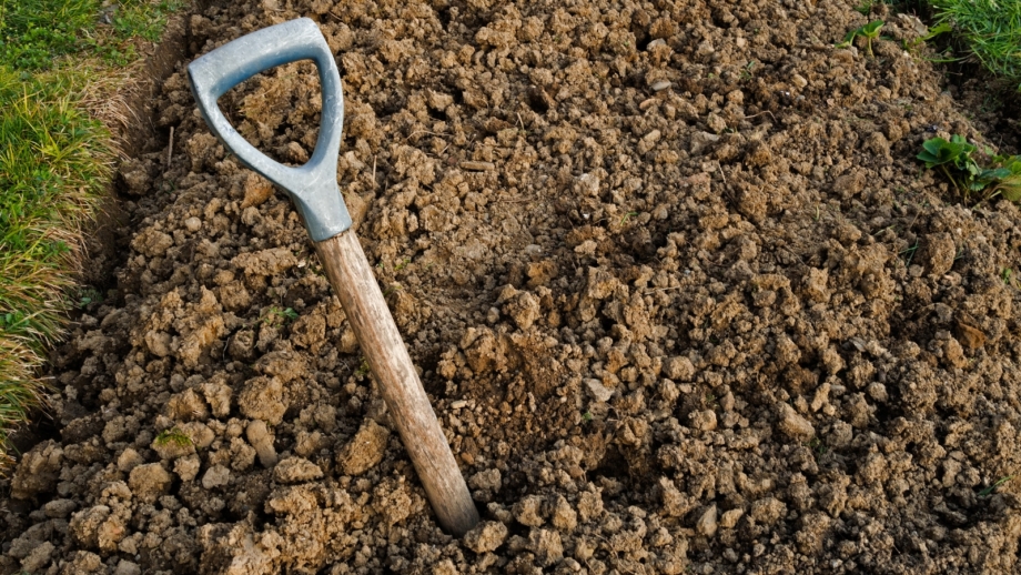 9 Easy Ways to Improve Your Soil