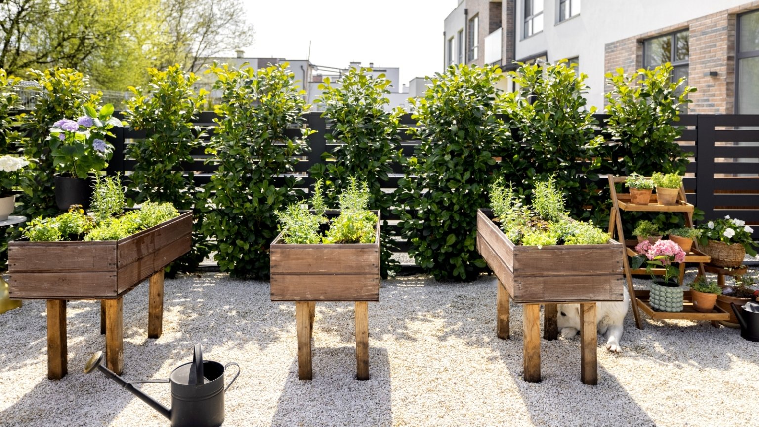 How to Design a Kitchen Garden: French Potager