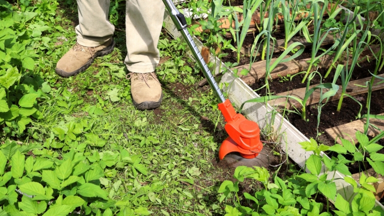What is the Chop-and-Drop Gardening Technique?
