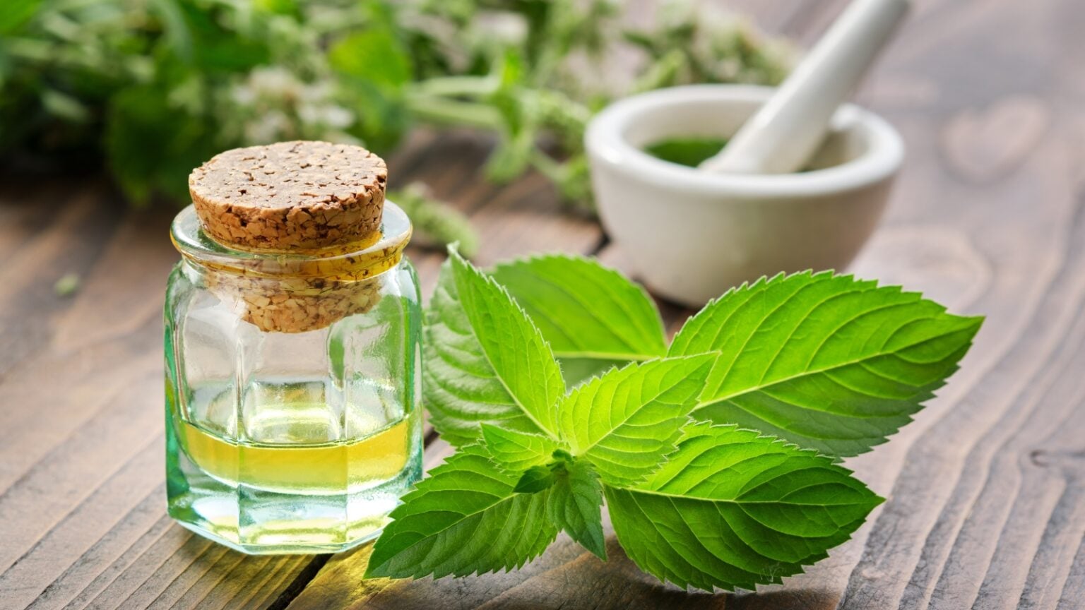 9 Surprising Health Benefits of Mint