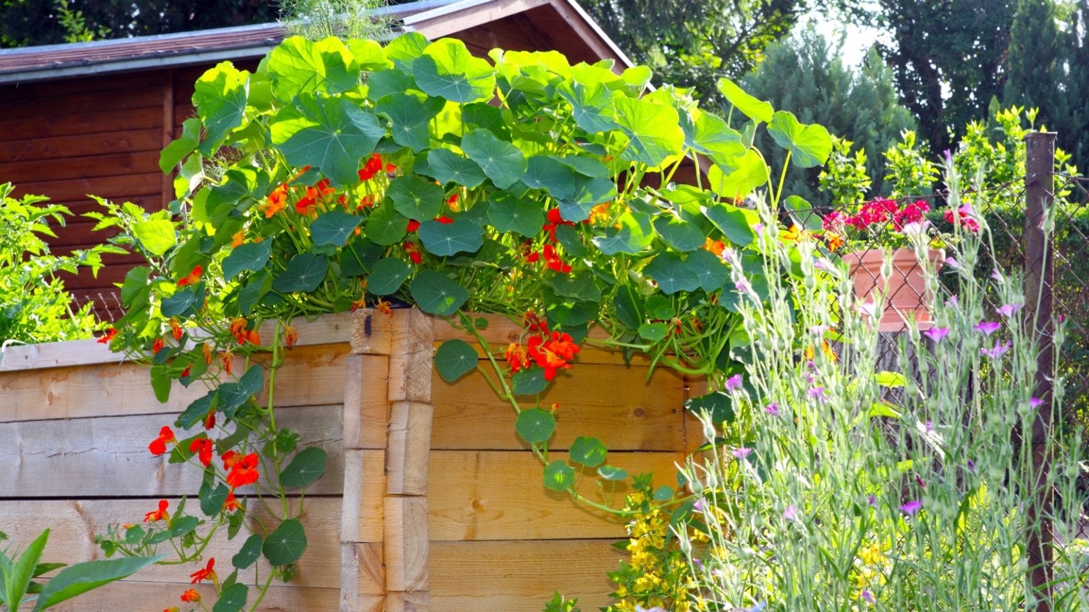 How to Design a Kitchen Garden: French Potager
