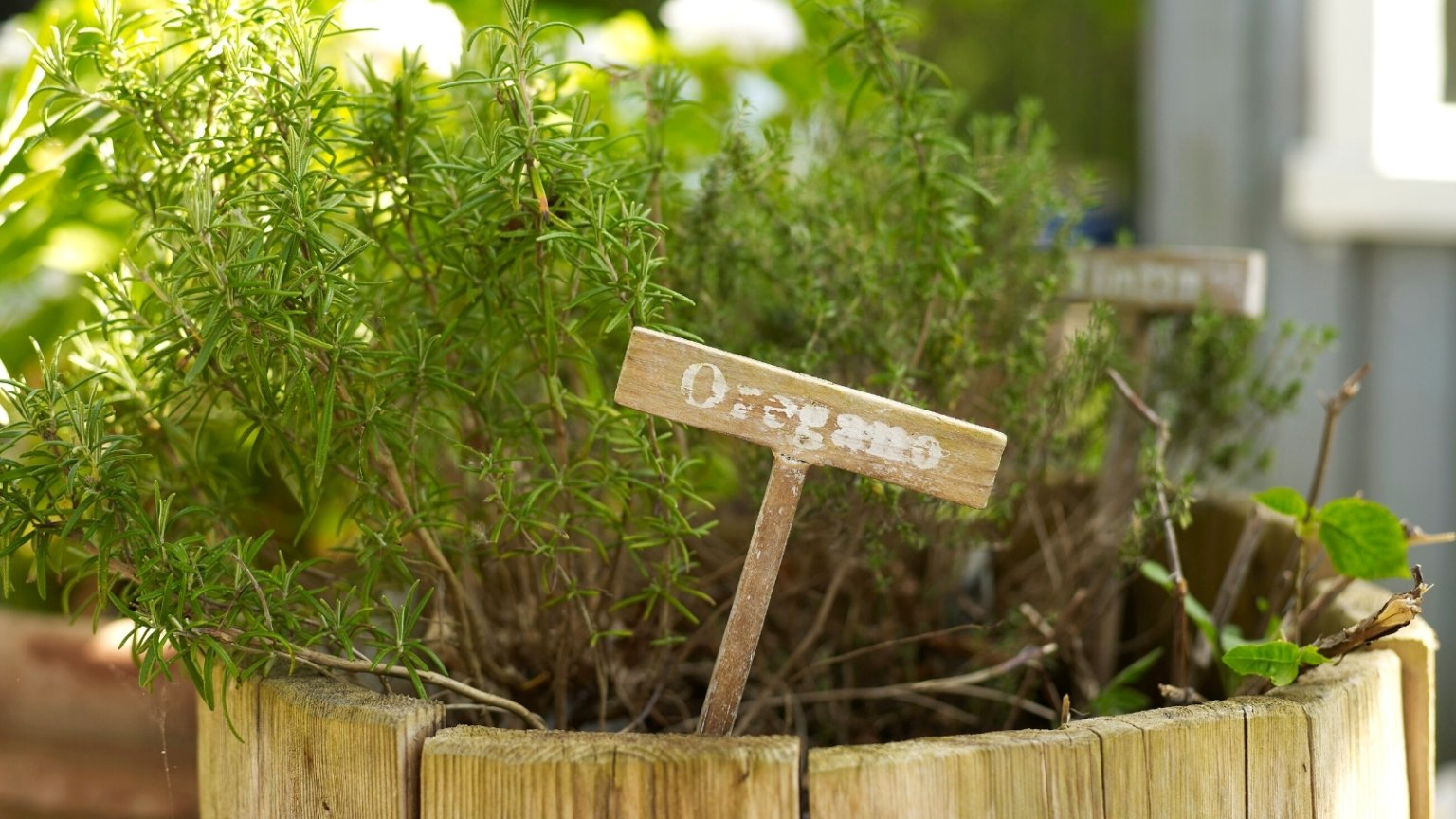 How to Design a Kitchen Garden: French Potager