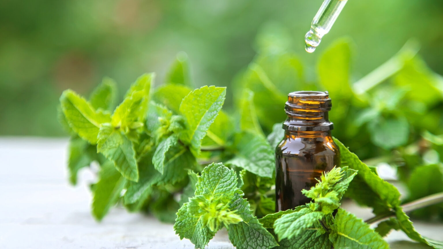 9 Surprising Health Benefits of Mint