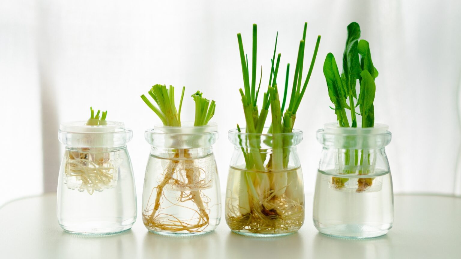 23 Creative Vegetable Garden Ideas