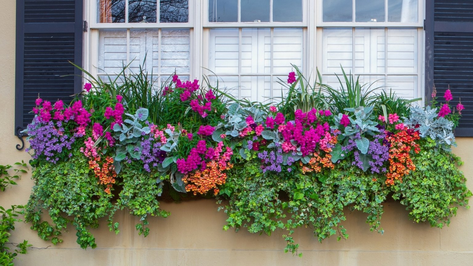 15 Stunning Window Box Flower Ideas