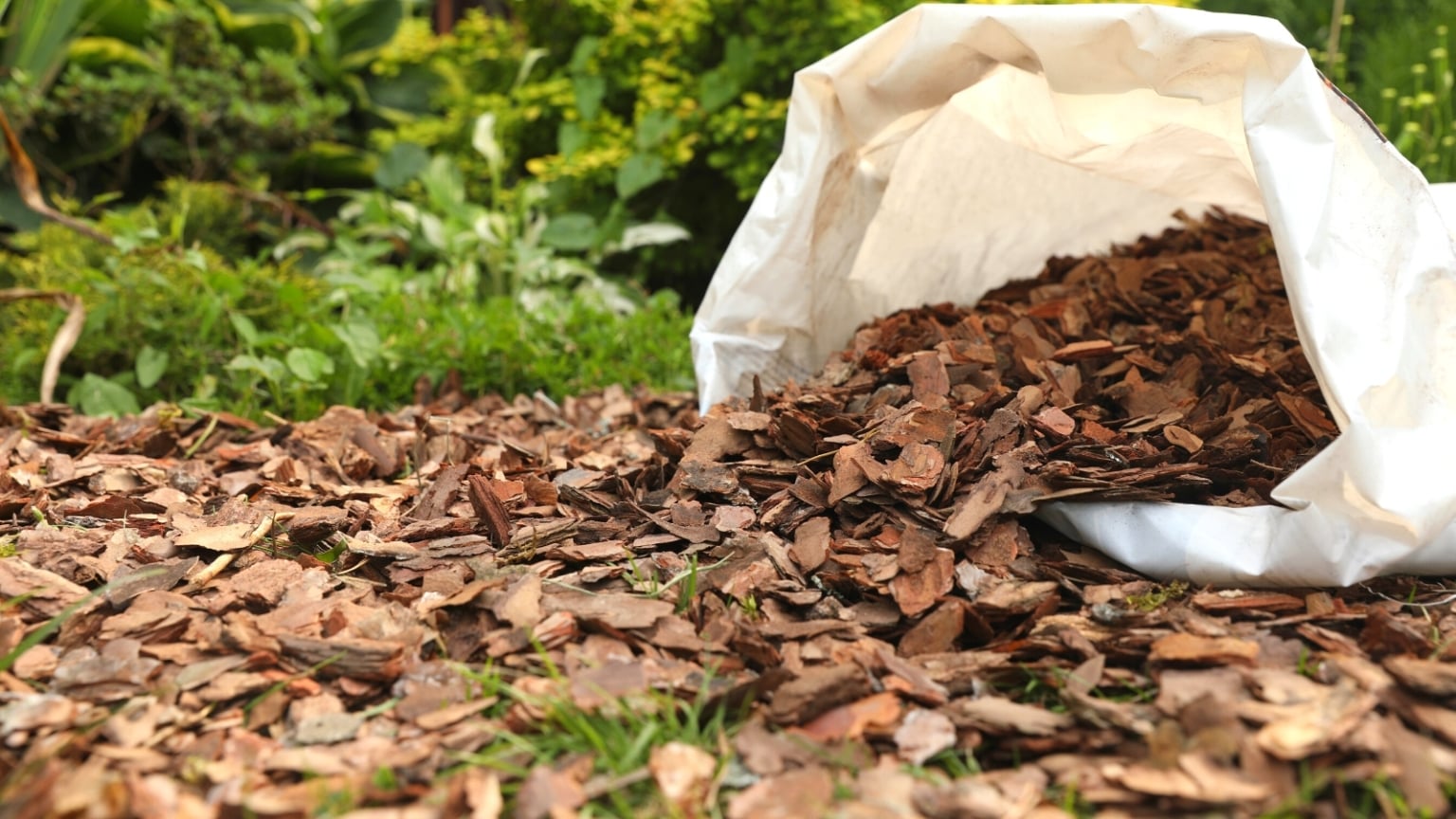 7 Steps to Improve Hard Soil, Fast