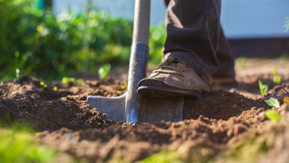 7 Steps to Improve Hard Soil, Fast