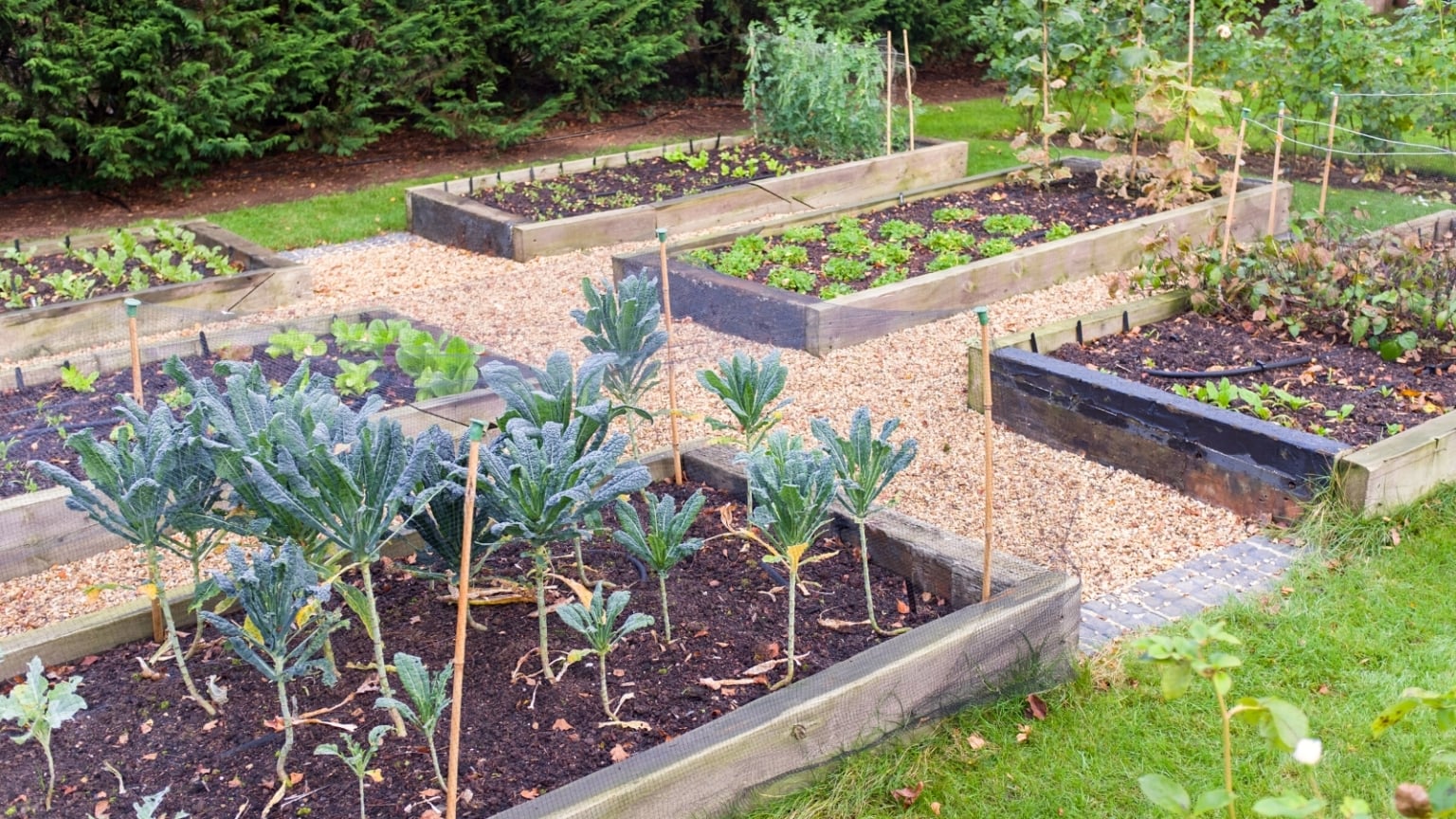 How to Design a Kitchen Garden: French Potager