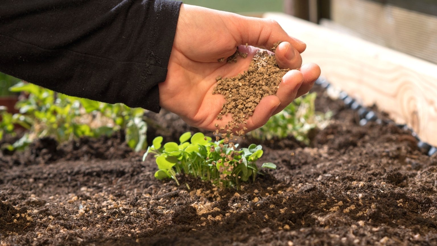 What Is NPK? Understanding Garden Fertilizers