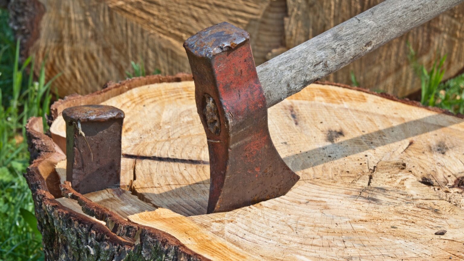 How to Cut Firewood in 6 Easy Steps