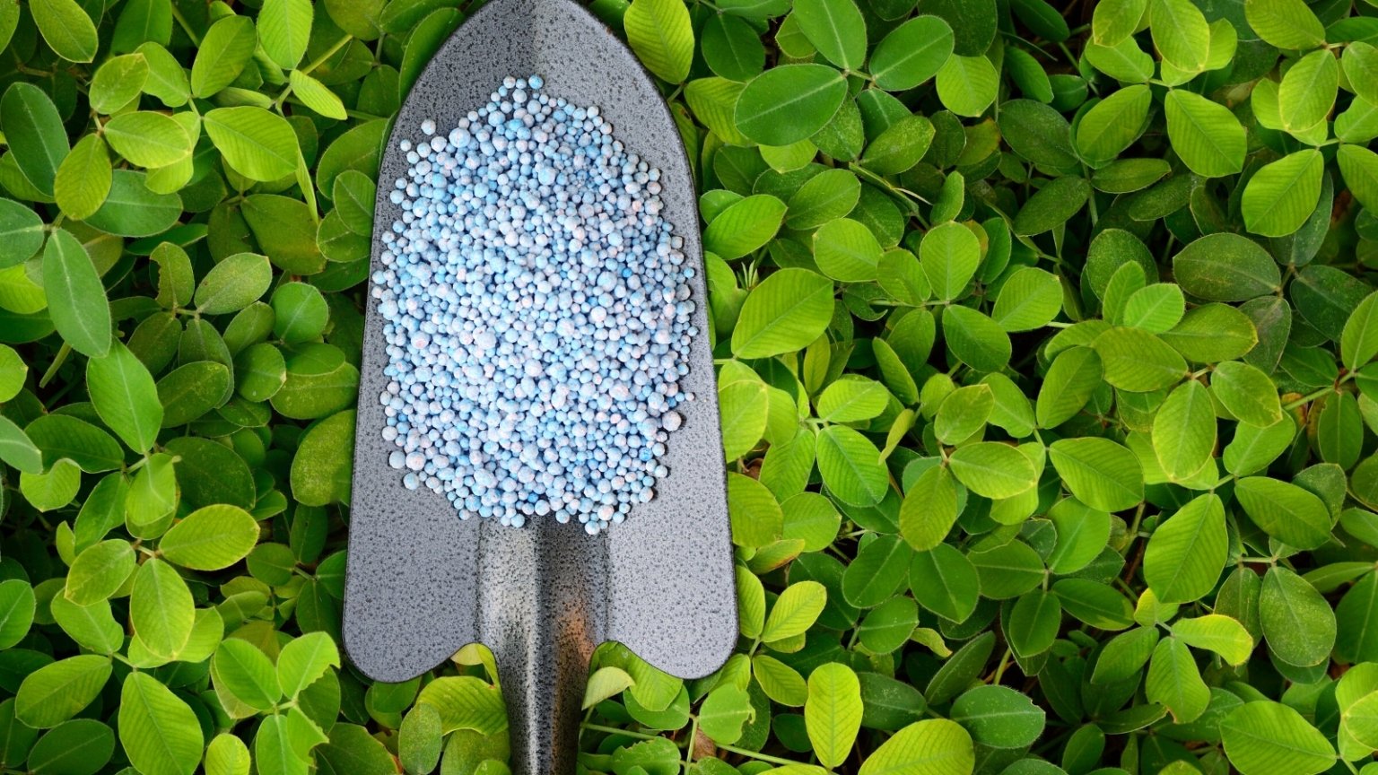What Is NPK? Understanding Garden Fertilizers