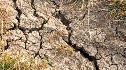 7 Steps to Improve Hard Soil, Fast