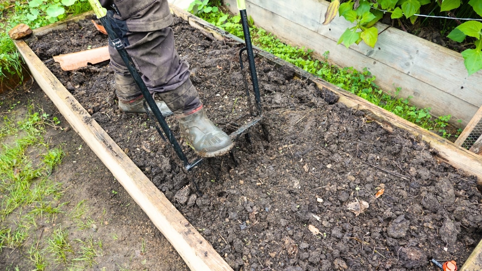 How to Refresh Raised Beds in Spring: 6 Pro Tips