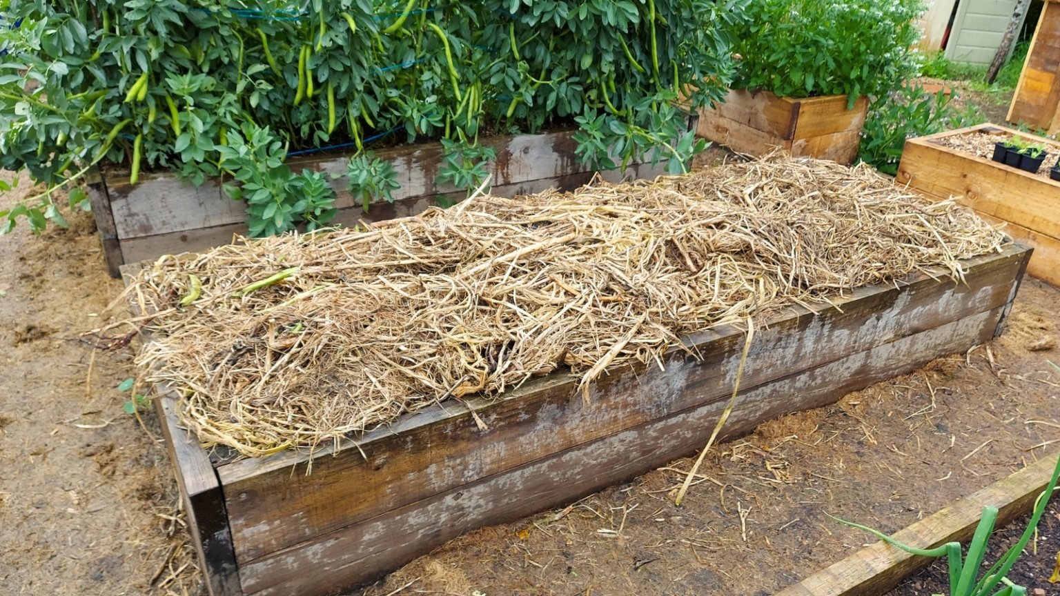 How to Refresh Raised Beds in Spring: 6 Pro Tips