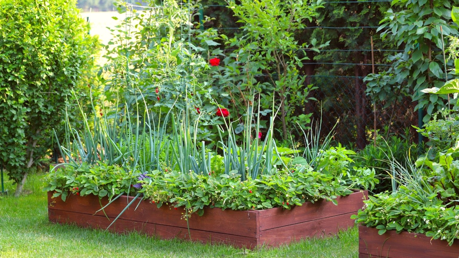 How to Design a Kitchen Garden: French Potager