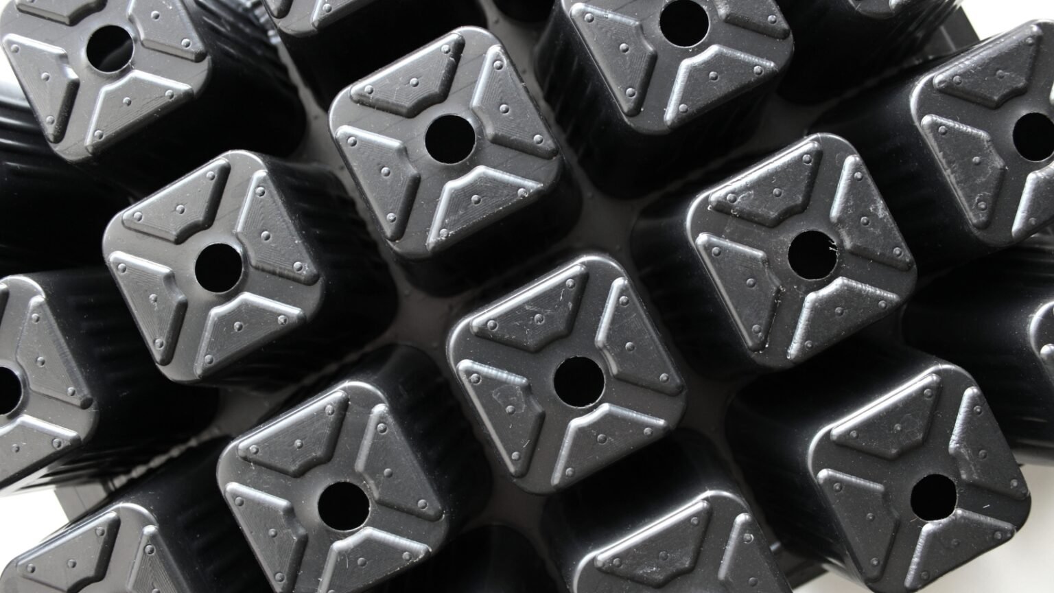 Seedlings Wilting? How to Control and Prevent Damping Off