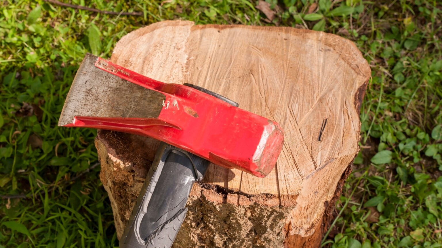 How to Cut Firewood in 6 Easy Steps